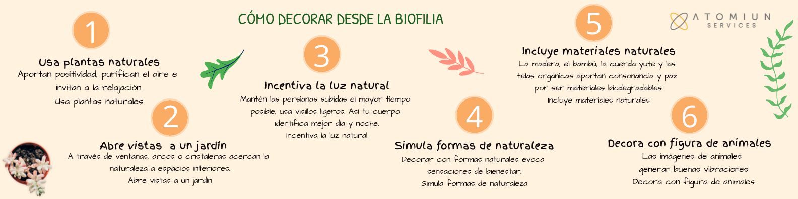 Qué es la biofilia y cómo decorar tu casa con plantas - Atomiun Services